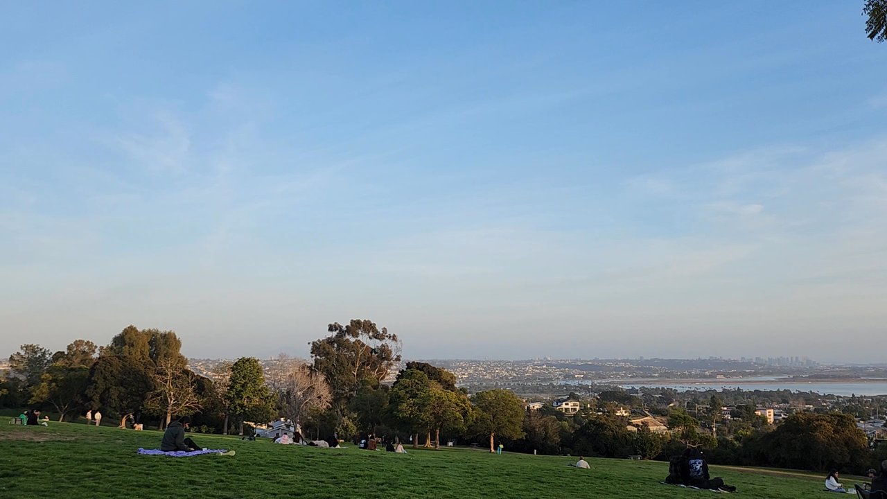 KATE O SESSIONS MEMORIAL PARK - Updated October 2025 - 523 Photos & 334 ...