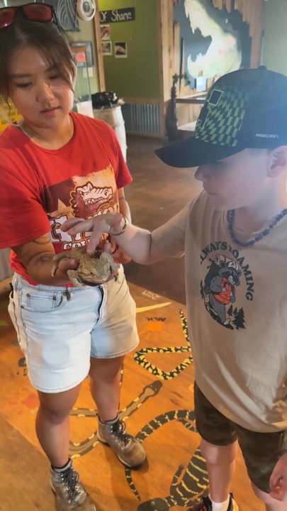 GATOR COUNTRY - Updated May 2026 - 257 Photos & 84 Reviews - 21159 Fm ...