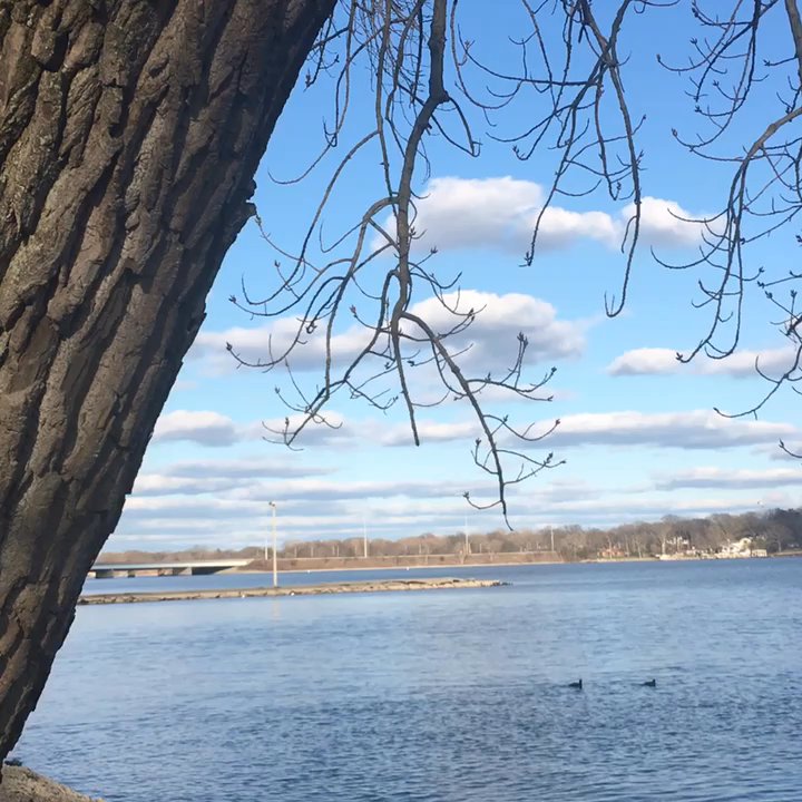 BEACH HOUSE - Updated July 2025 - 180 Photos & 231 Reviews - 1001 S ...