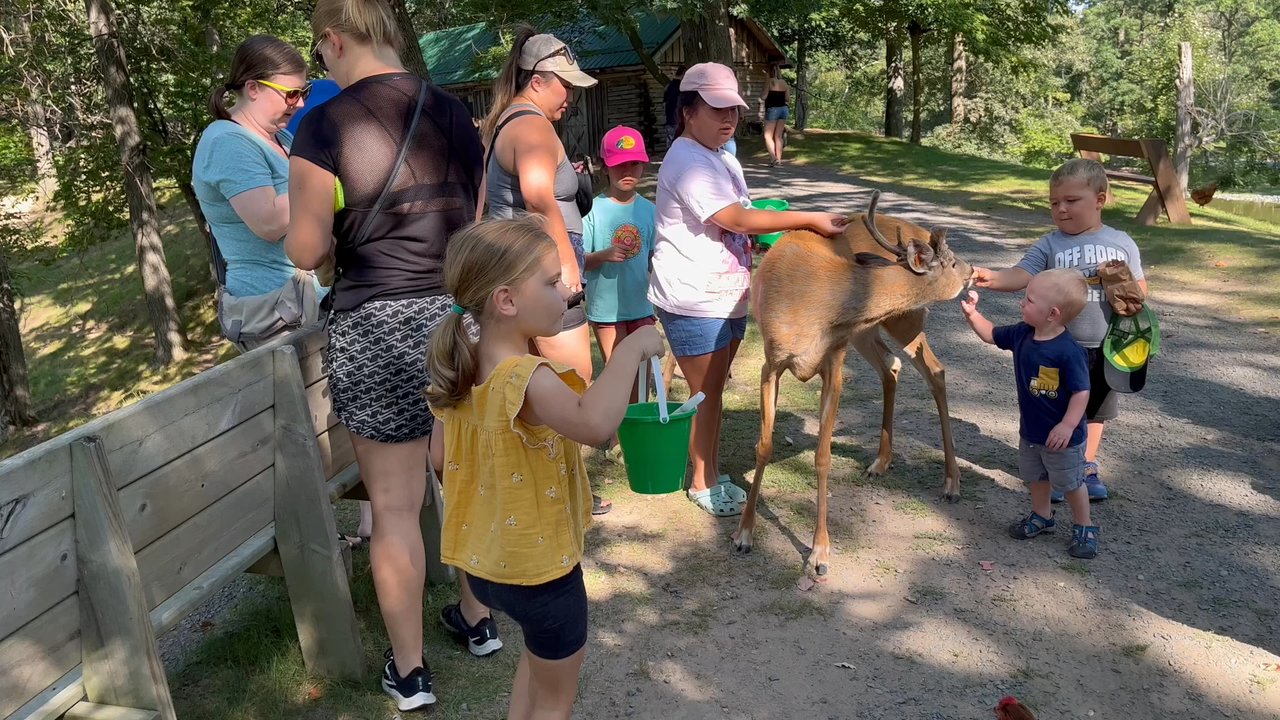 FAWN DOE ROSA - Updated May 2026 - 141 Photos & 47 Reviews - 2131 US ...