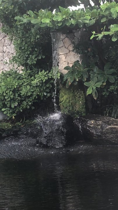 ICHIMURA MIAMI JAPANESE GARDEN - Updated December 2025 - 123 Photos ...