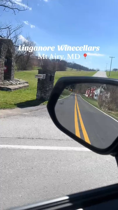 LINGANORE WINECELLARS - Updated April 2026 - 432 Photos & 260 Reviews ...