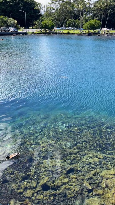 PONDS HILO - Updated October 2025 - 618 Photos & 590 Reviews - 135 ...