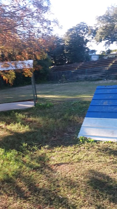 BAYVIEW DOG BEACH - Updated December 2025 - 88 Photos & 58 Reviews ...