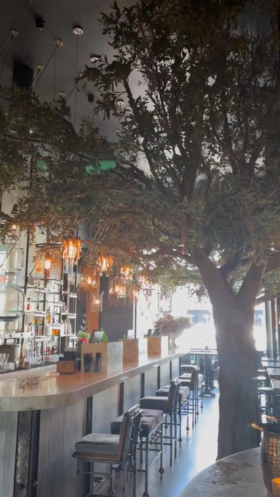 TOM TOM - Updated June 2025 - 1556 Photos & 1158 Reviews - 8932 Santa ...