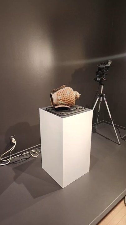 THE NEWARK MUSEUM OF ART - Updated January 2026 - 577 Photos & 83 ...