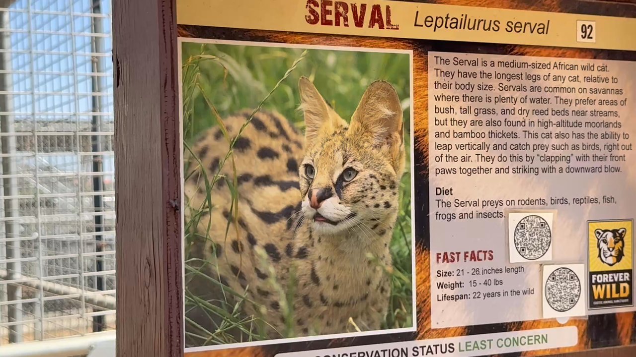 FOREVER WILD EXOTIC ANIMAL SANCTUARY - Updated May 2026 - 685 Photos ...