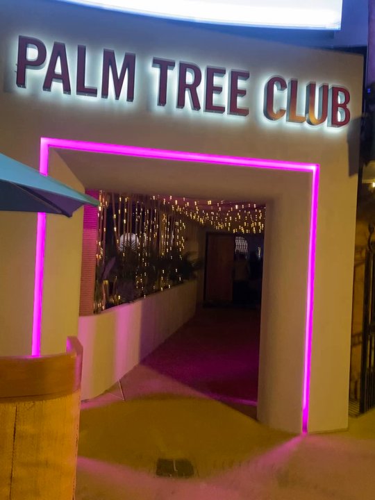 PALM TREE CLUB - Updated June 2025 - 180 Photos & 40 Reviews - 9101 ...