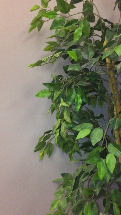 ADVOCATE CONDELL MEDICAL CENTER - Updated December 2025 - 25 Photos ...