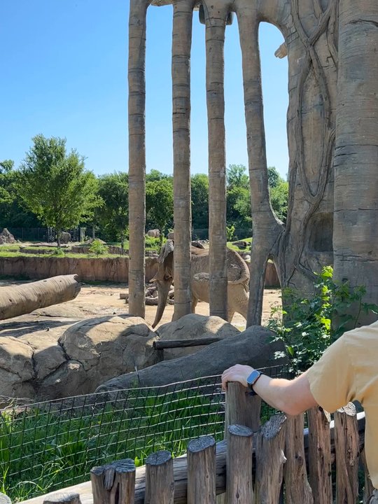 DALLAS ZOO - Updated March 2025 - 1899 Photos & 508 Reviews - 650 S R L ...