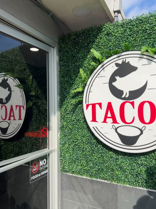 TACOZ - Updated April 2026 - 296 Photos & 380 Reviews - 3639 Abbott Rd ...