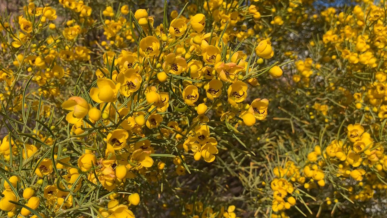 RED RIDGE PARK - Updated March 2025 - 507 Photos & 62 Reviews - 9135 W ...