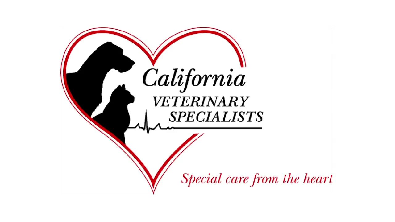 Vca California Veterinary Specialists Carlsbad