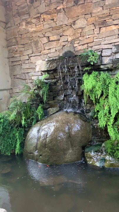 JC RAULSTON ARBORETUM - Updated October 2025 - 639 Photos & 112 Reviews ...