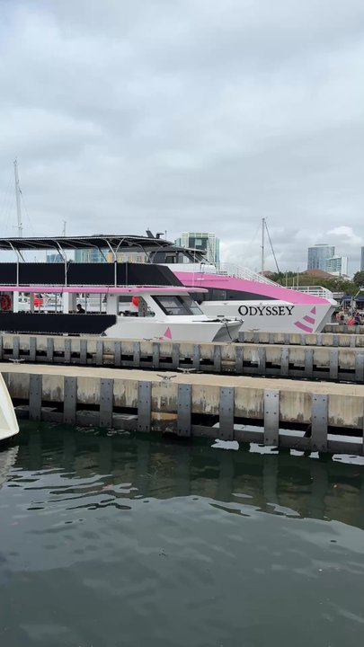 PINK SAILS WAIKIKI - Updated October 2025 - 1004 Photos & 728 Reviews ...