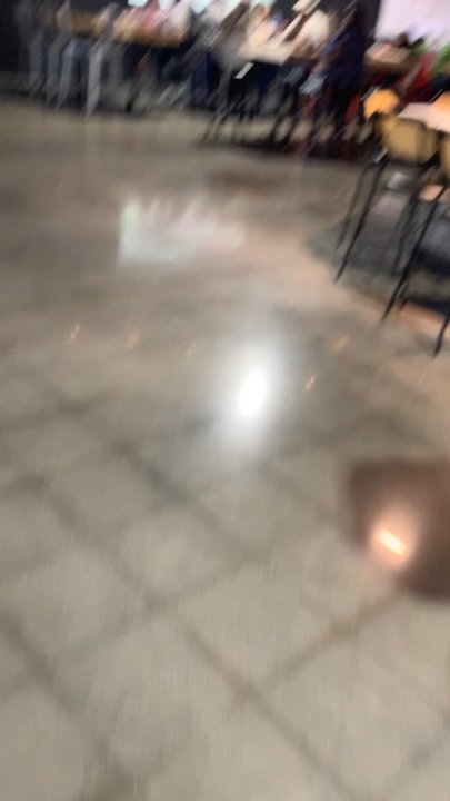 ALLEY 51 - Updated February 2025 - 181 Photos & 47 Reviews - 10500 ...