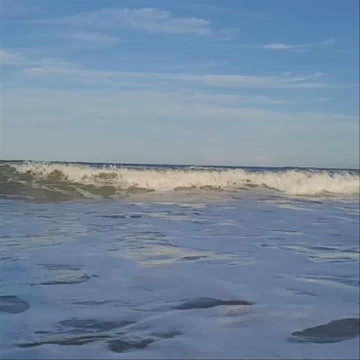 HANGARS BEACH - Updated January 2026 - 32 Photos - 745 S Atlantic Ave ...