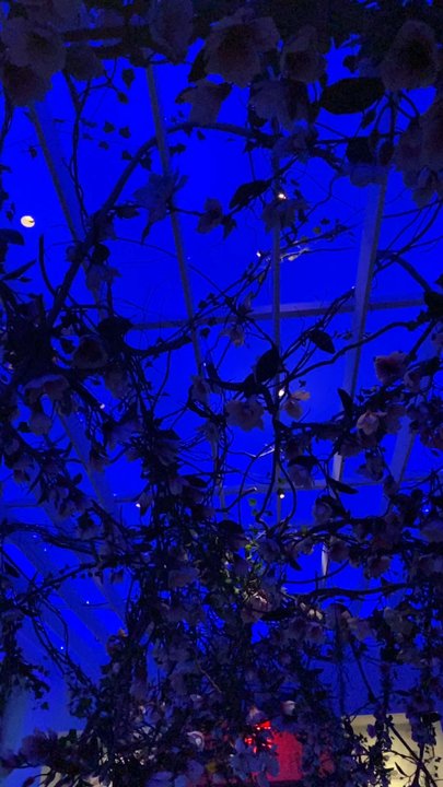 SKINOS - Updated July 2025 - 532 Photos & 192 Reviews - 123 Washington ...