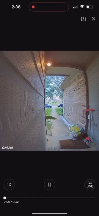 GOFO EXPRESS - Updated November 2025 - 25 Photos & 158 Reviews - 36-47 ...