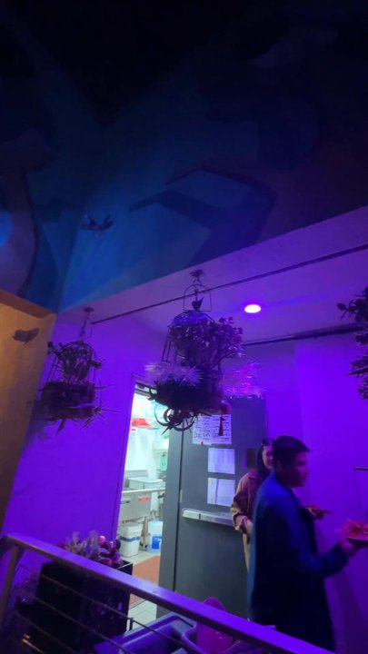 DARLING AVIARY - Updated May 2025 - 875 Photos & 700 Reviews - 712 K St ...