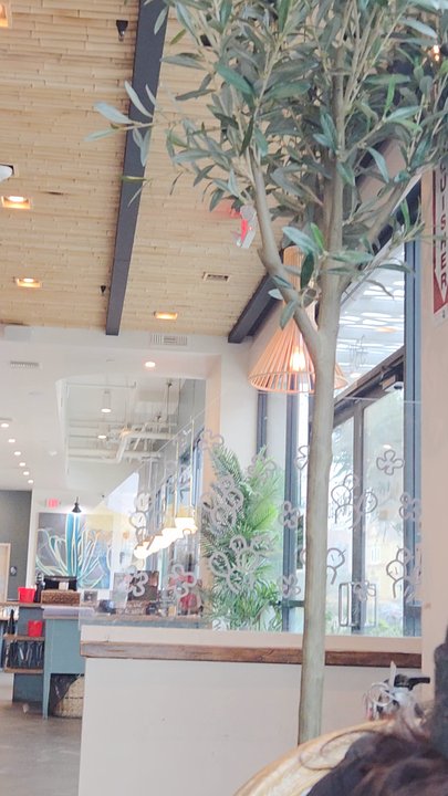 TOASTED GASTROBRUNCH - Updated January 2026 - 1839 Photos & 1590 ...