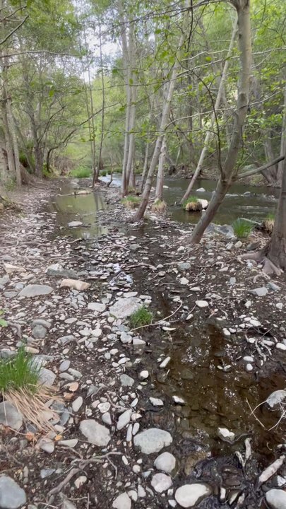 SUNOL REGIONAL WILDERNESS AREA - Updated October 2025 - 1955 Photos ...