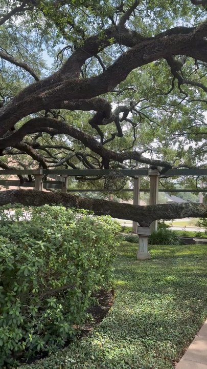 BECKS PRIME - Updated November 2025 - 169 Photos & 179 Reviews - 2615 ...