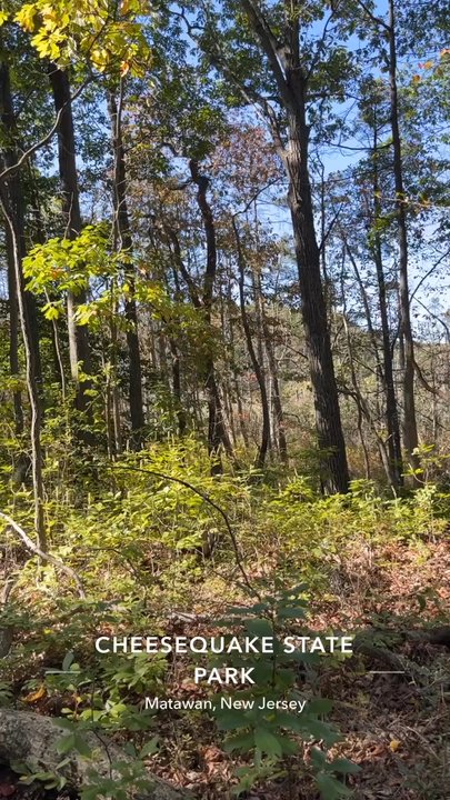 CHEESEQUAKE STATE PARK - Updated May 2026 - 2215 Photos & 89 Reviews ...