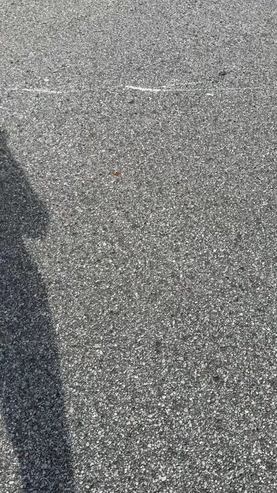 OCEAN BUFFET - Updated January 2026 - 143 Photos & 42 Reviews - 3109 E ...