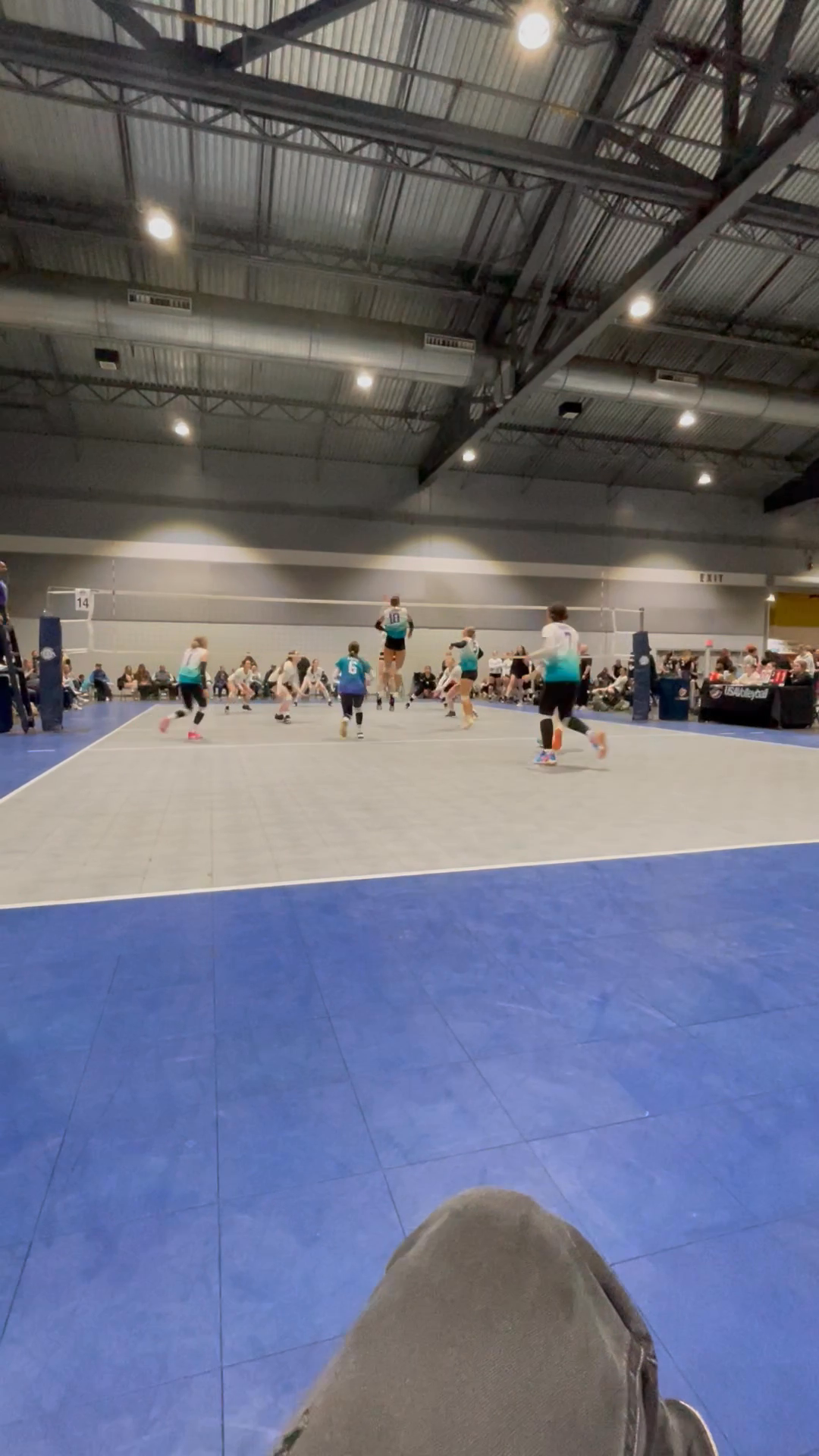 Watch "Regionals 2024" - Laci Hoylman's Volleyball Videos | FieldLevel