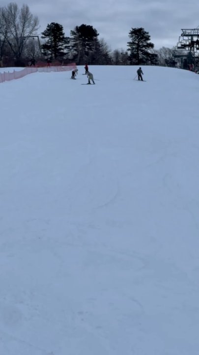 SKI WARD - Updated January 2026 - 21 Photos & 81 Reviews - 1000 Main St ...