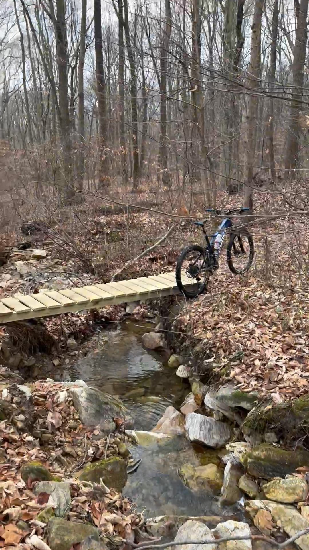 Tim Pappas | Strava Runner Profile