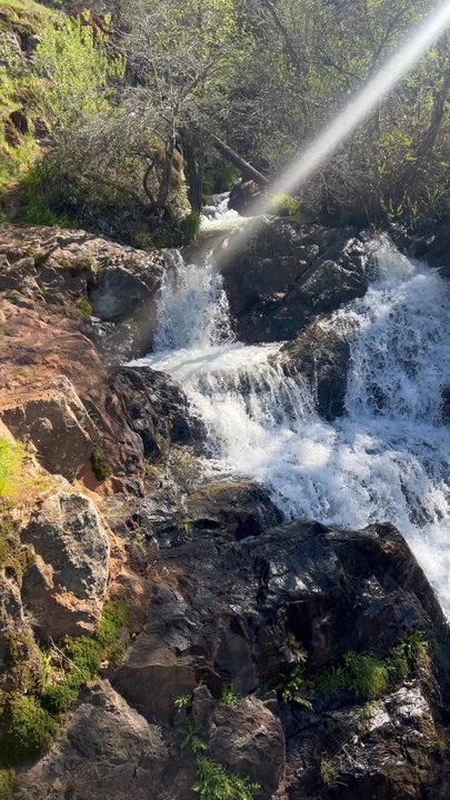 HIDDEN FALLS REGIONAL PARK - Updated December 2025 - 1180 Photos & 275 ...