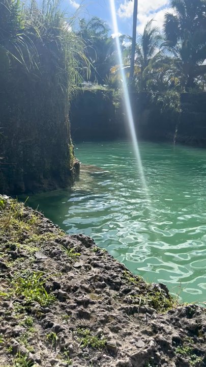 BLUE LAGOON FARM MIAMI - Updated January 2026 - 76 Photos & 41 Reviews ...