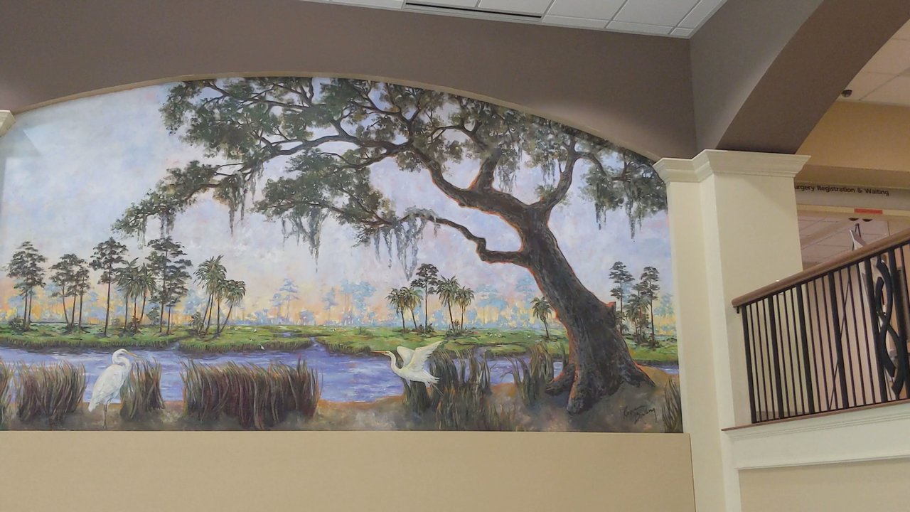 ROPER ST FRANCIS MOUNT PLEASANT HOSPITAL - Updated November 2025 - 83 ...