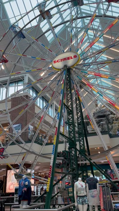 SCHEELS - Updated September 2025 - 211 Photos & 84 Reviews - 3801 S ...