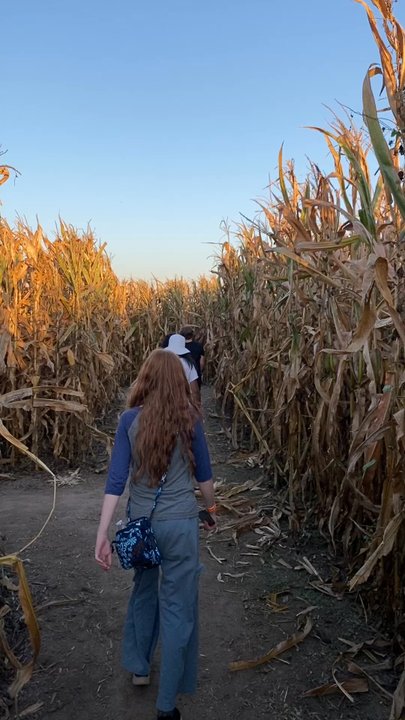 FUN FARM PUMPKIN PATCH - Updated May 2026 - 124 Photos & 48 Reviews ...