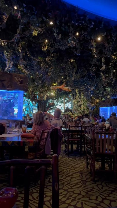 RAINFOREST CAFE - Updated September 2025 - 376 Photos & 353 Reviews ...