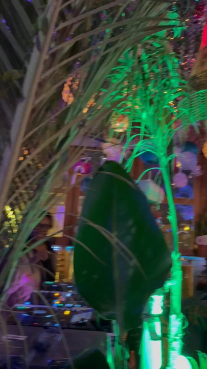 EL TECHO - Updated December 2025 - 771 Photos & 478 Reviews - 606 ...