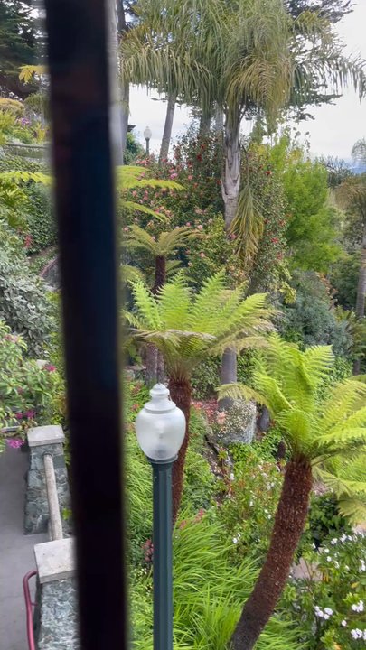 SHADOWBROOK - Updated December 2025 - 8748 Photos & 5948 Reviews - 1750 ...