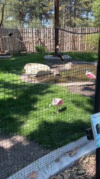 TRACY AVIARY - Updated June 2026 - 572 Photos & 202 Reviews - 589 E ...