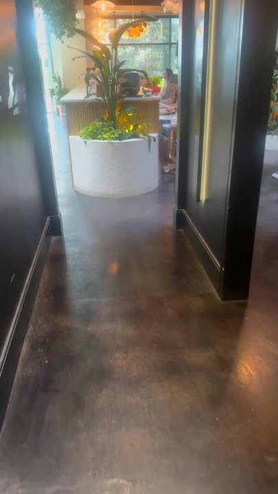 FOLIA - Updated March 2026 - 181 Photos & 51 Reviews - 1440 S Tryon St ...