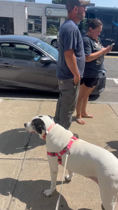 THE MODERN BUTCHER - Updated December 2025 - 57 Photos & 43 Reviews ...