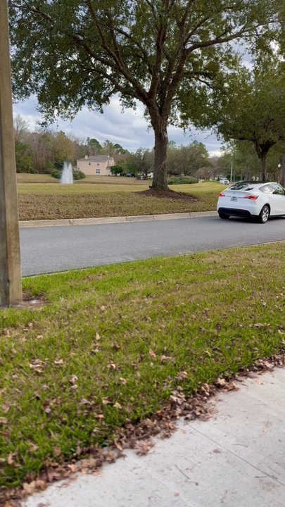 FLORIDA COASTAL COCKER RESCUE - Updated January 2026 - 308 Photos ...