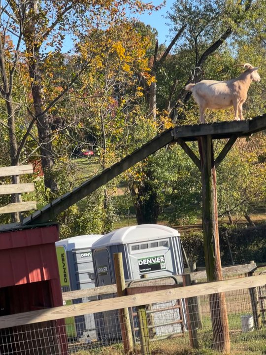 WEBER’S FARM - Updated August 2025 - 273 Photos & 162 Reviews - 2526 ...