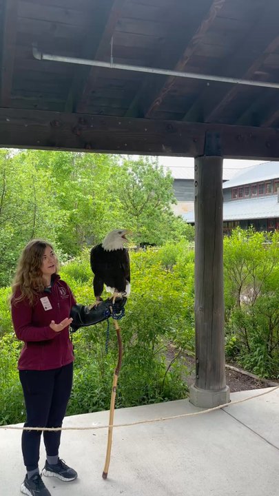 SCHLITZ AUDUBON NATURE CENTER - Updated April 2026 - 125 Photos & 45 ...