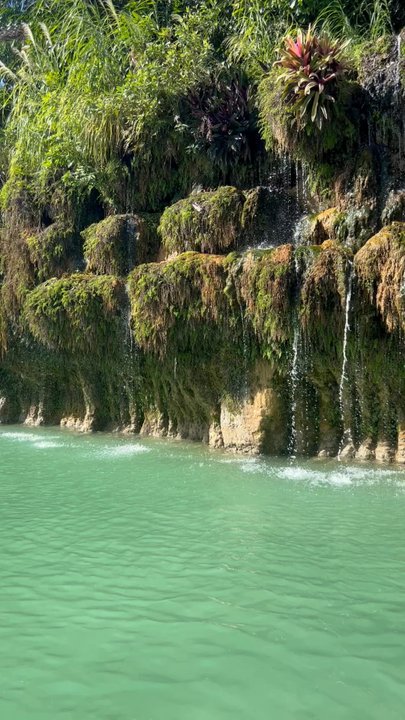 BLUE LAGOON FARM MIAMI - Updated January 2026 - 76 Photos & 41 Reviews ...