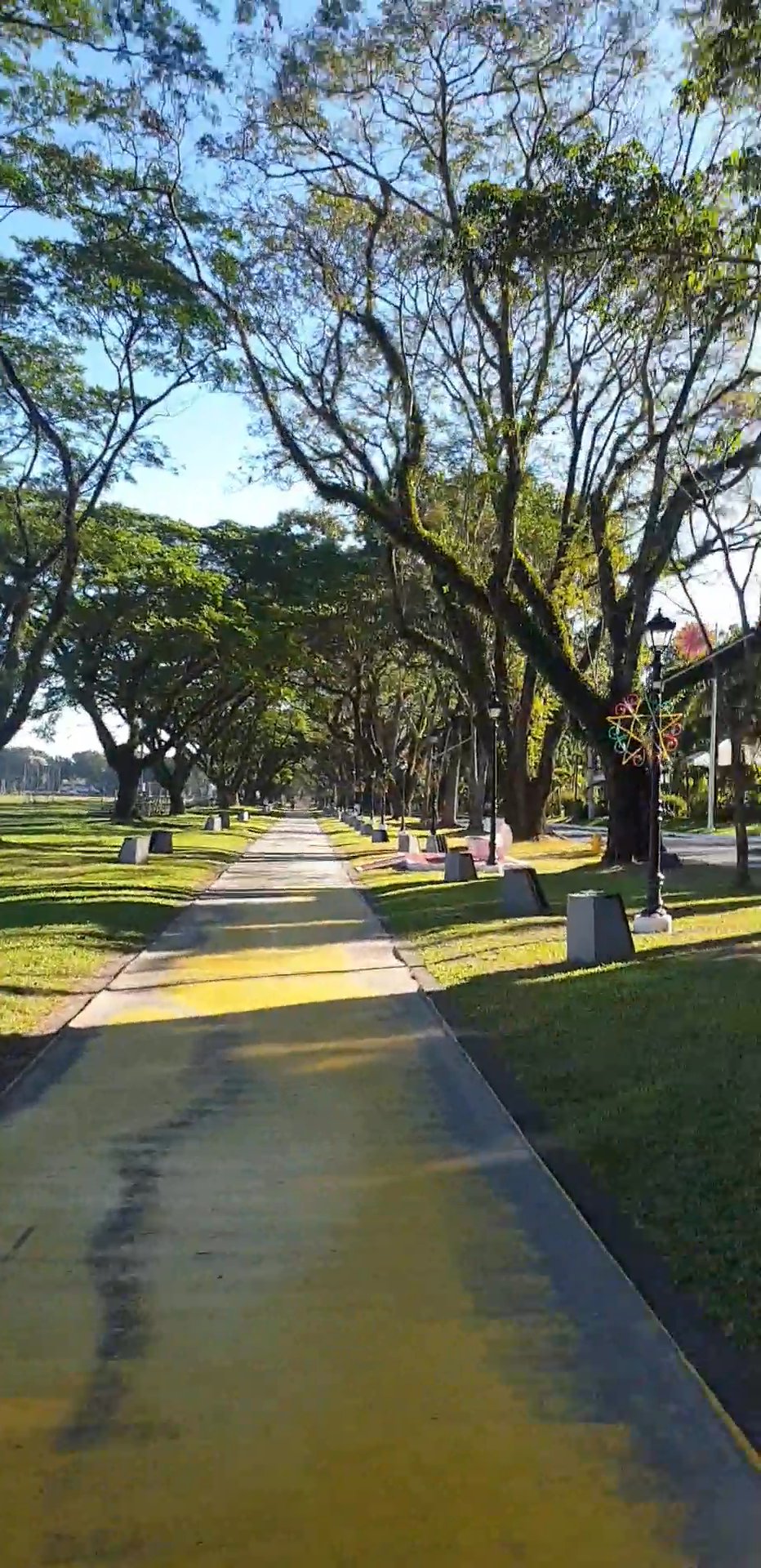 Jay Narciso | Strava Cyclist Profile