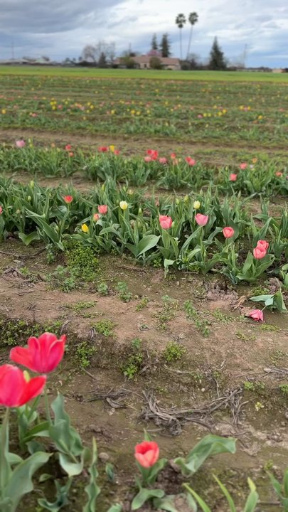 DUTCH HOLLOW FARMS - Updated May 2026 - 250 Photos & 120 Reviews - 2500 ...