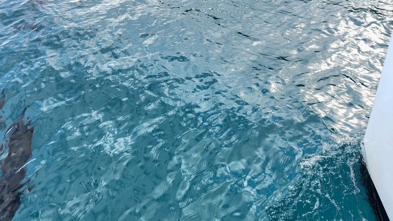 HOLO HOLO CHARTERS - Updated September 2025 - 1039 Photos & 1124 Reviews - 4353 Waialo Rd ...